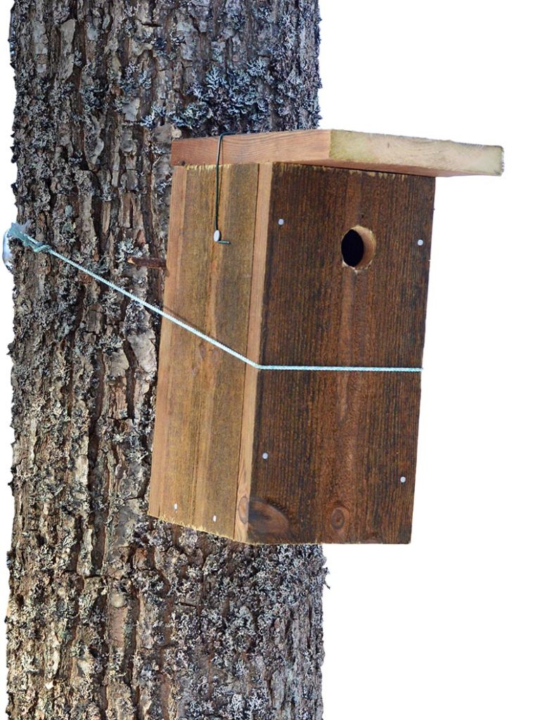 Fuglekasse - Natur og Fritid